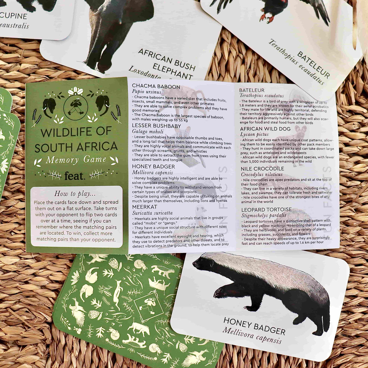 Wildlife of South Africa Memory Game – Feat. Designer Goods