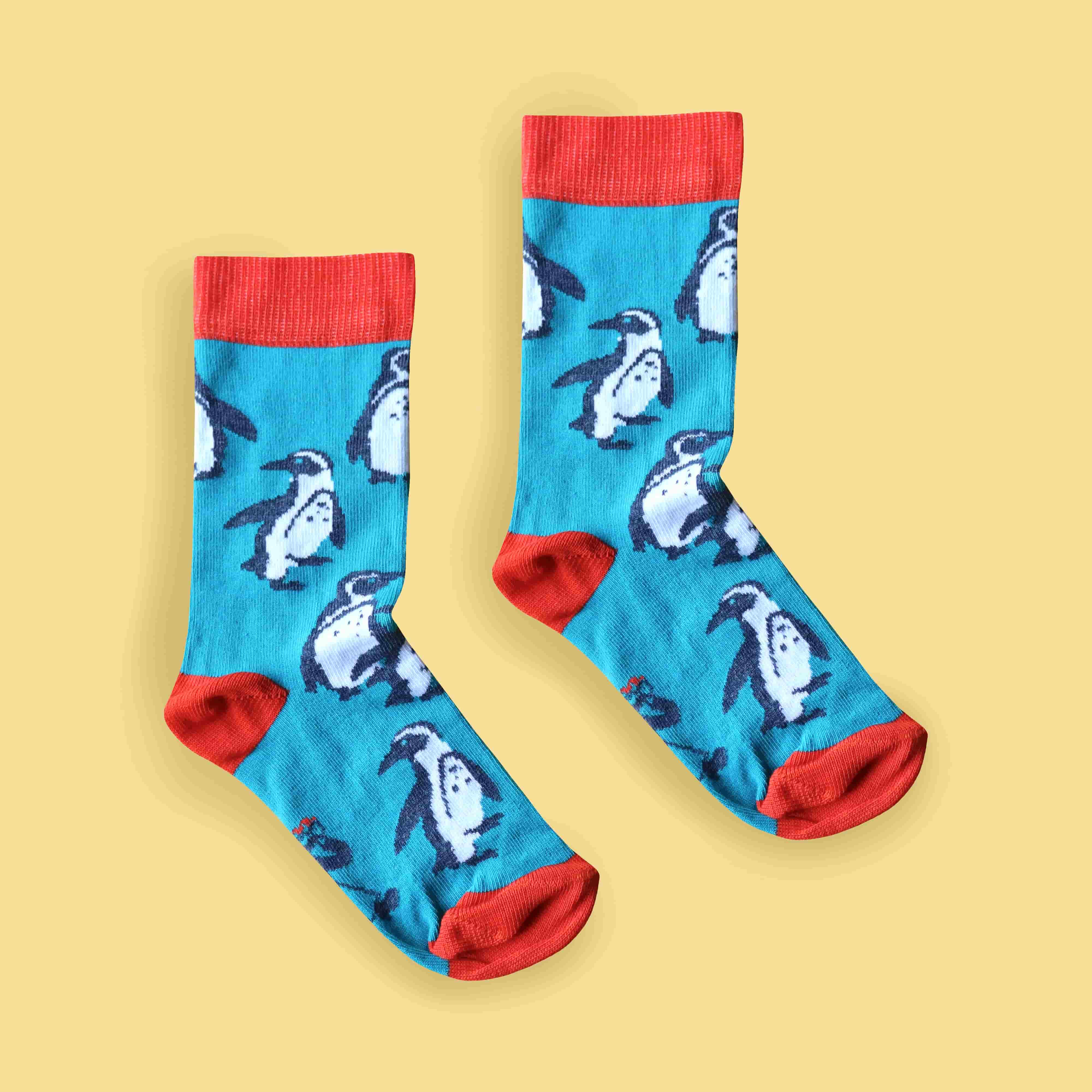 Kids’ Designer Socks | Children’s Socks inspired by South African Wild ...