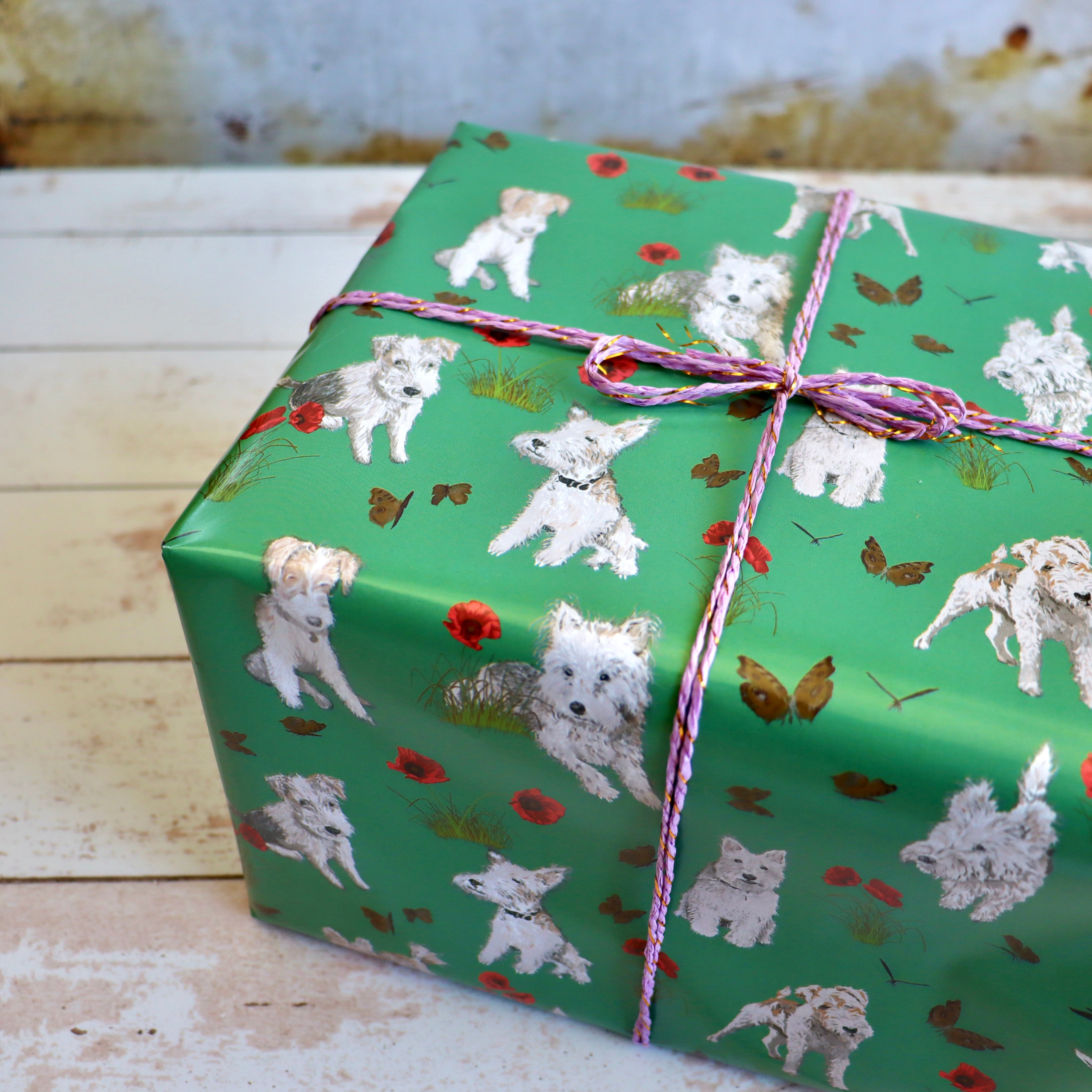 Unique Greeting Cards and Gift Wrapping Paper inspired by South Africa ...