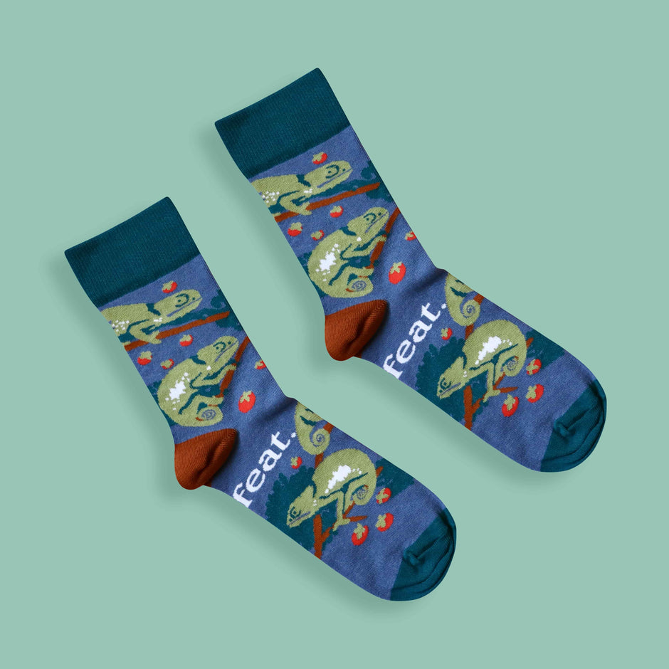 Unique socks South Africa | Funky, Colourful Socks – Feat. Designer Goods