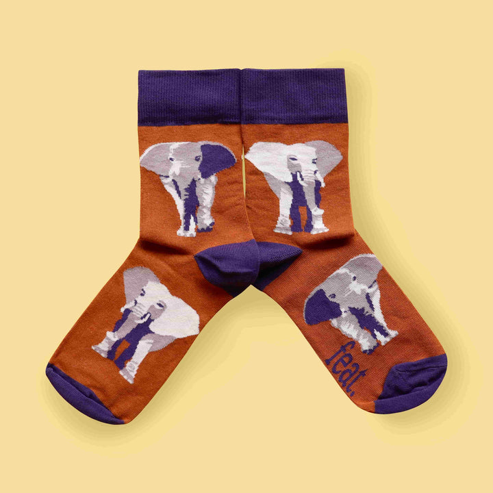 Funky, wildlife socks made in Cape Town, South Africa – Feat. Designer ...