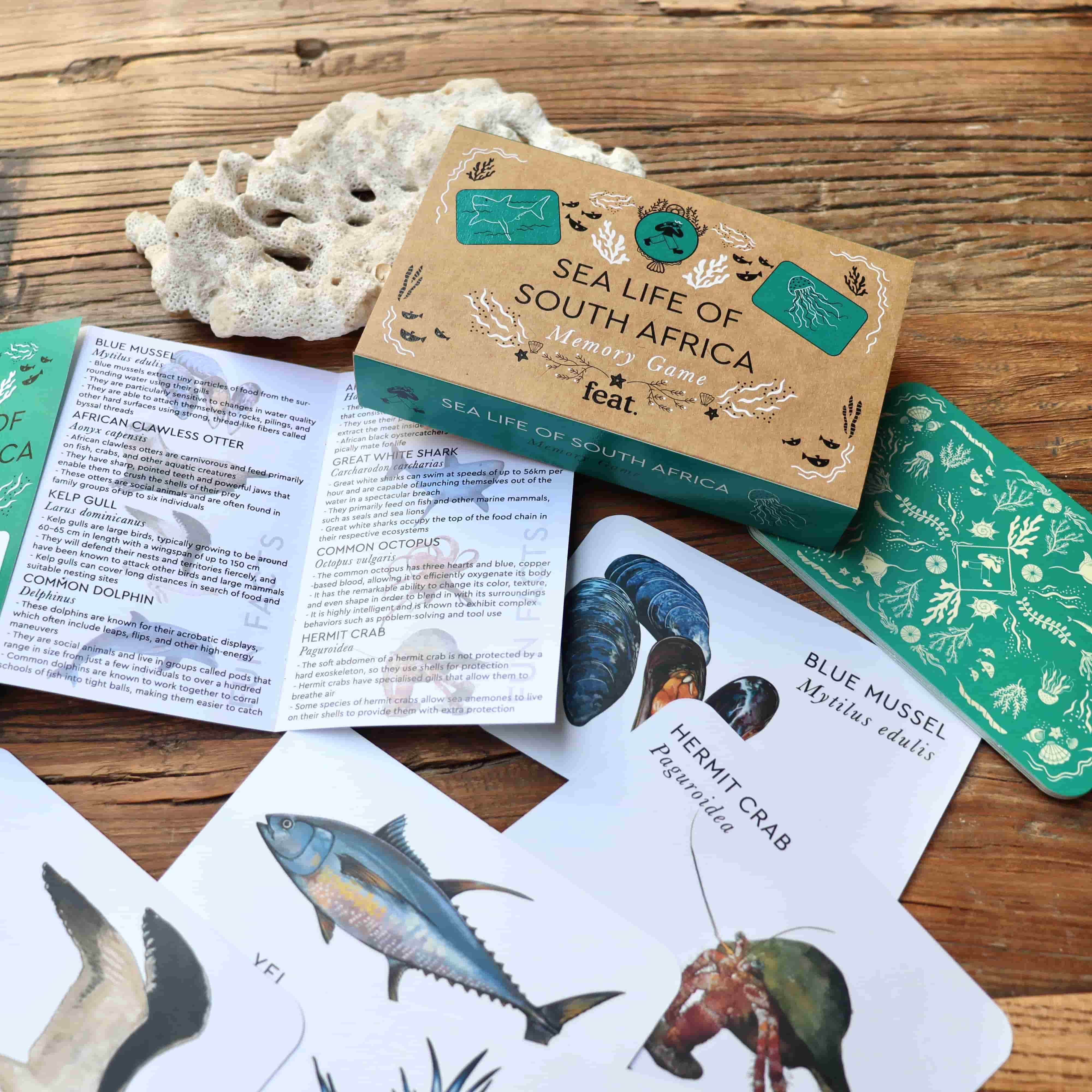 Sea life of South Africa Memory Game – Feat. Designer Goods