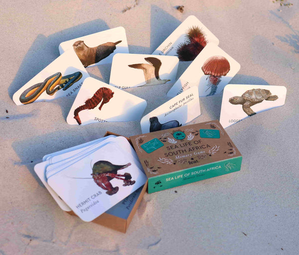 Sea life of South Africa Memory Game – Feat. Designer Goods